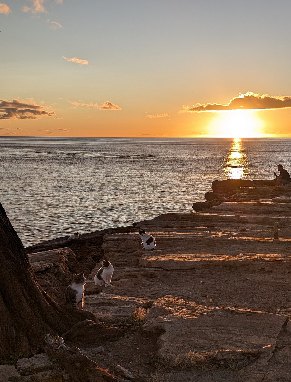 Summer Solstice Celebration 2024 - Hui Waʻa Kaukahi